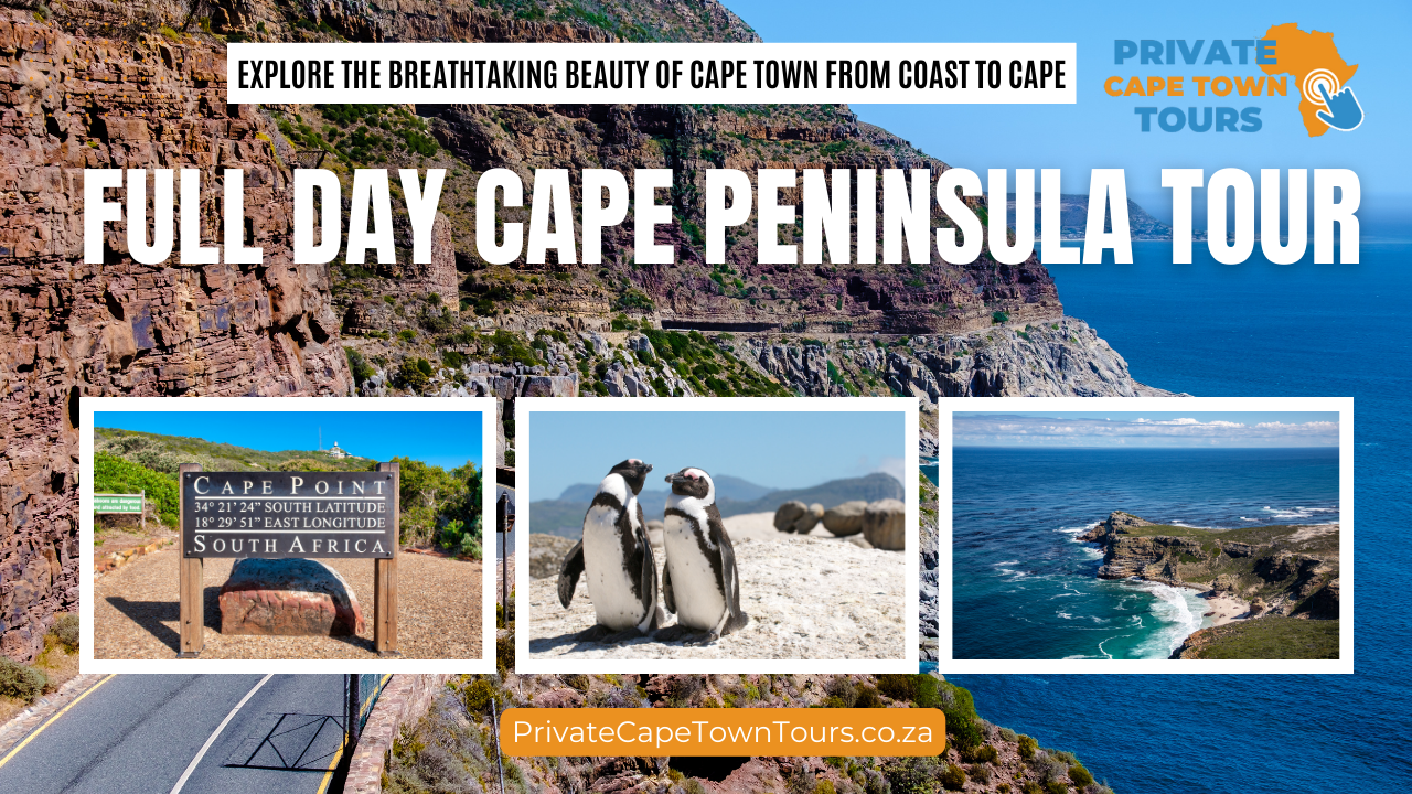 Full Day Cape Peninsula Tour: Cape Point and Boulders Beach